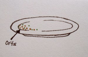 The Ort Report | eaterprovocateur